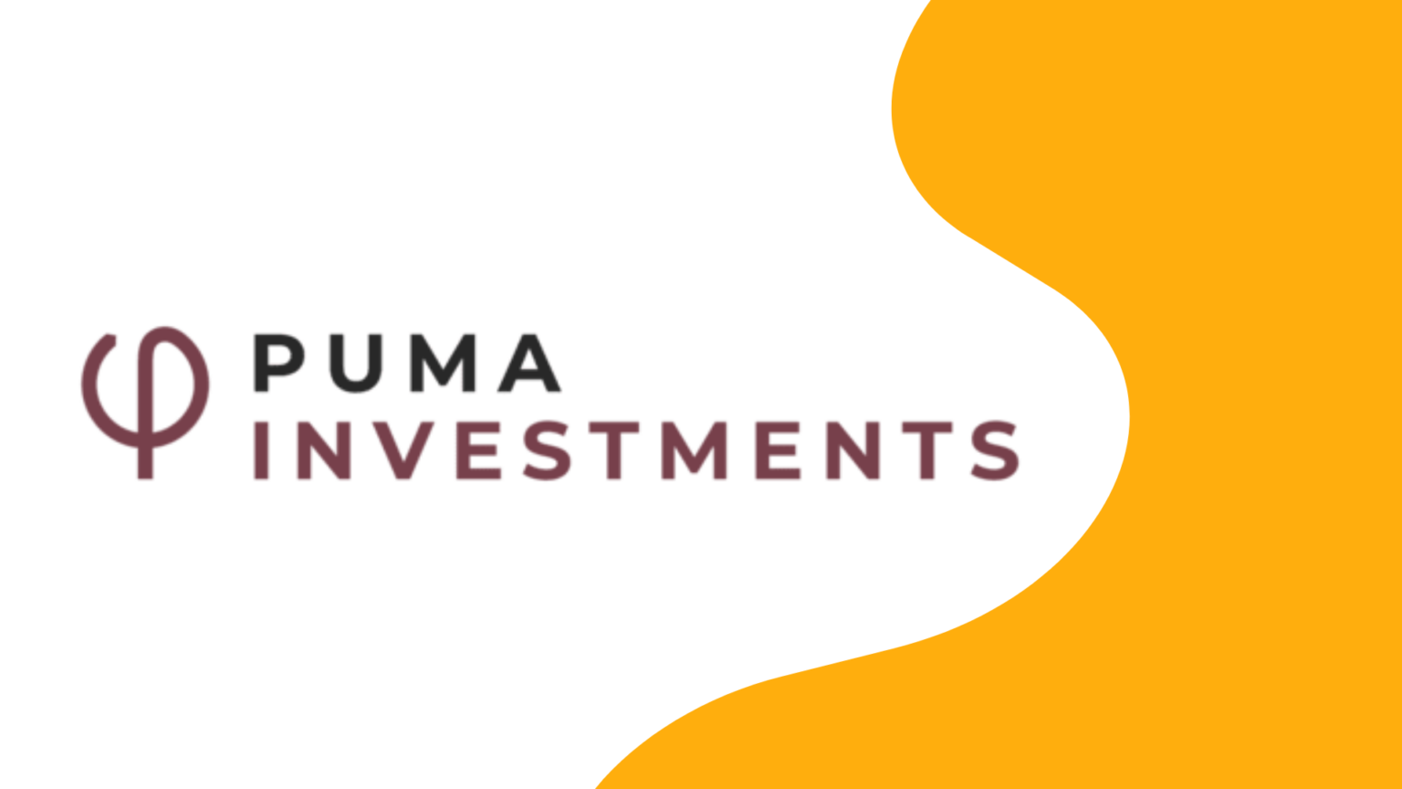 In the spotlight: Puma Investments